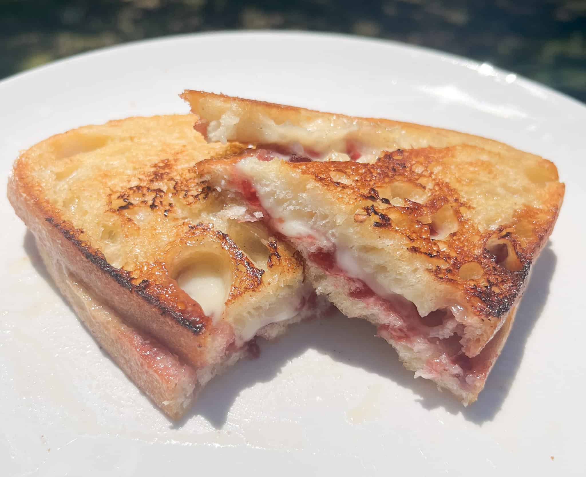 Berry and Brie Sourdough Grilled Cheese